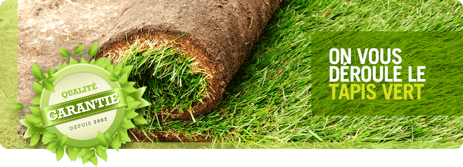 Gazonnière Ladouceur | Gazon cultivé de première qualité